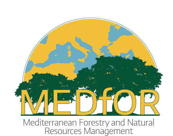 Addressing forest ecosystem management planning concerns with linear ...